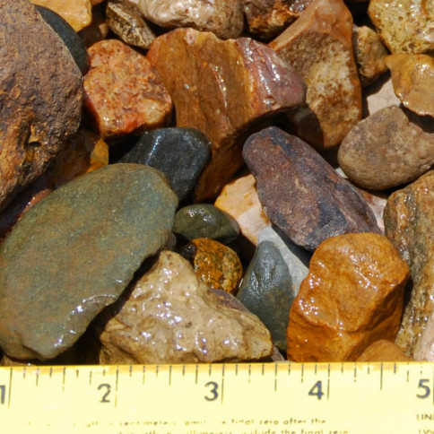 Bulk River Rock | Cedar River Garden Center